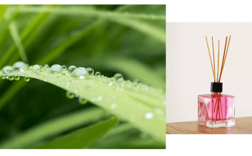 Products - Proquimia Cosmetics