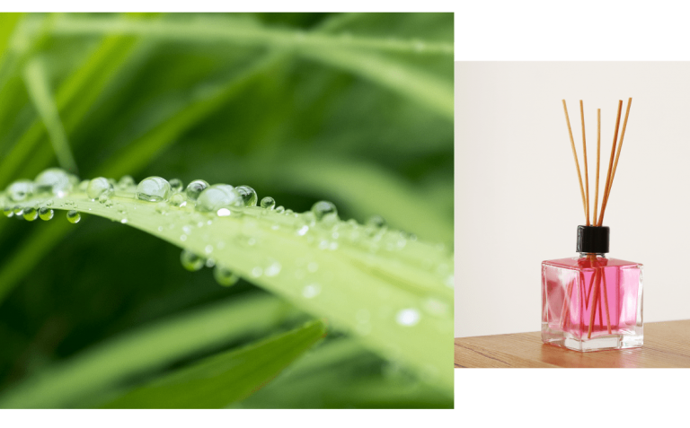 Productos - Proquimia Cosmetics